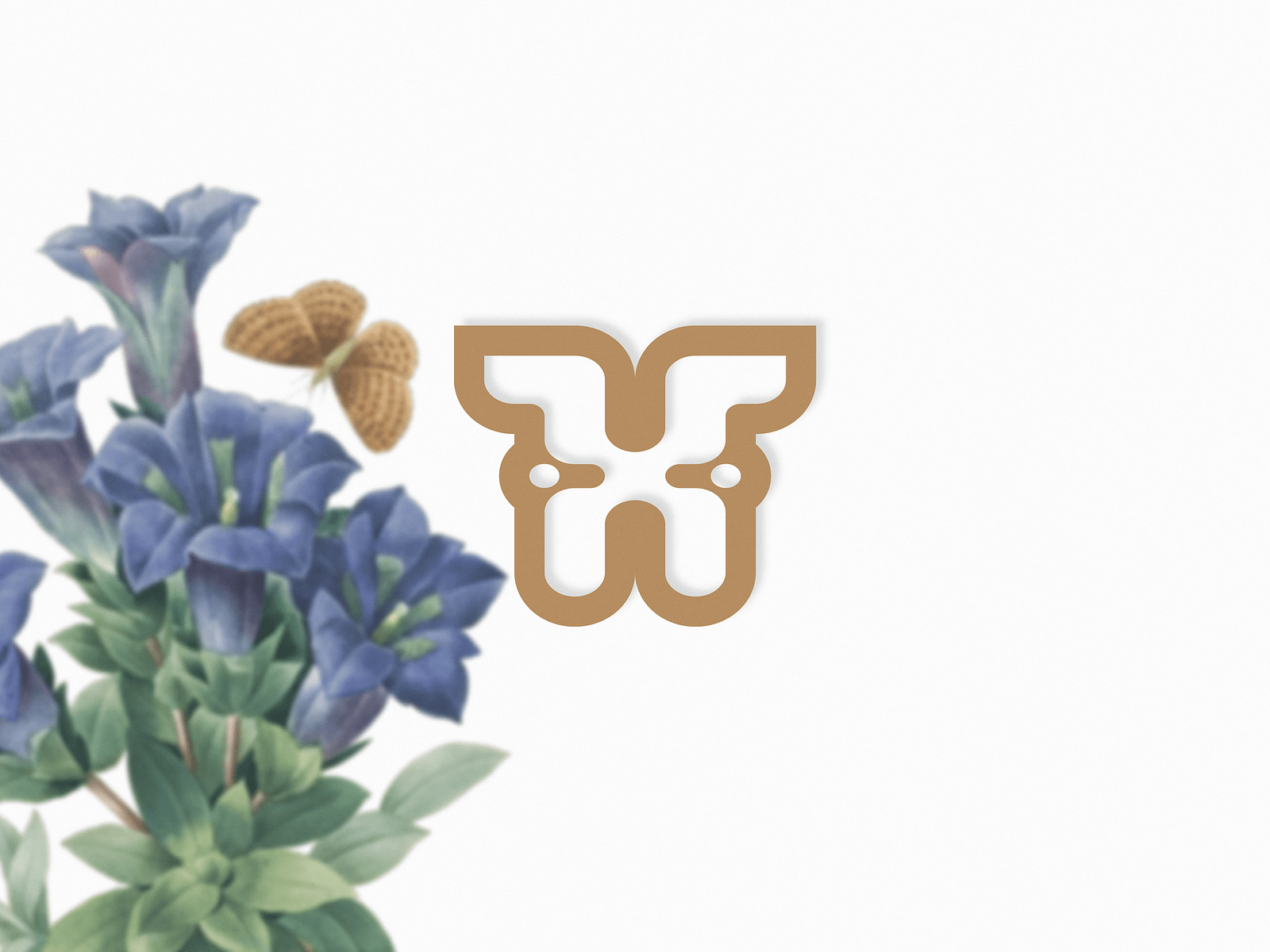 X Butterfly Logo by Keven on Dribbble