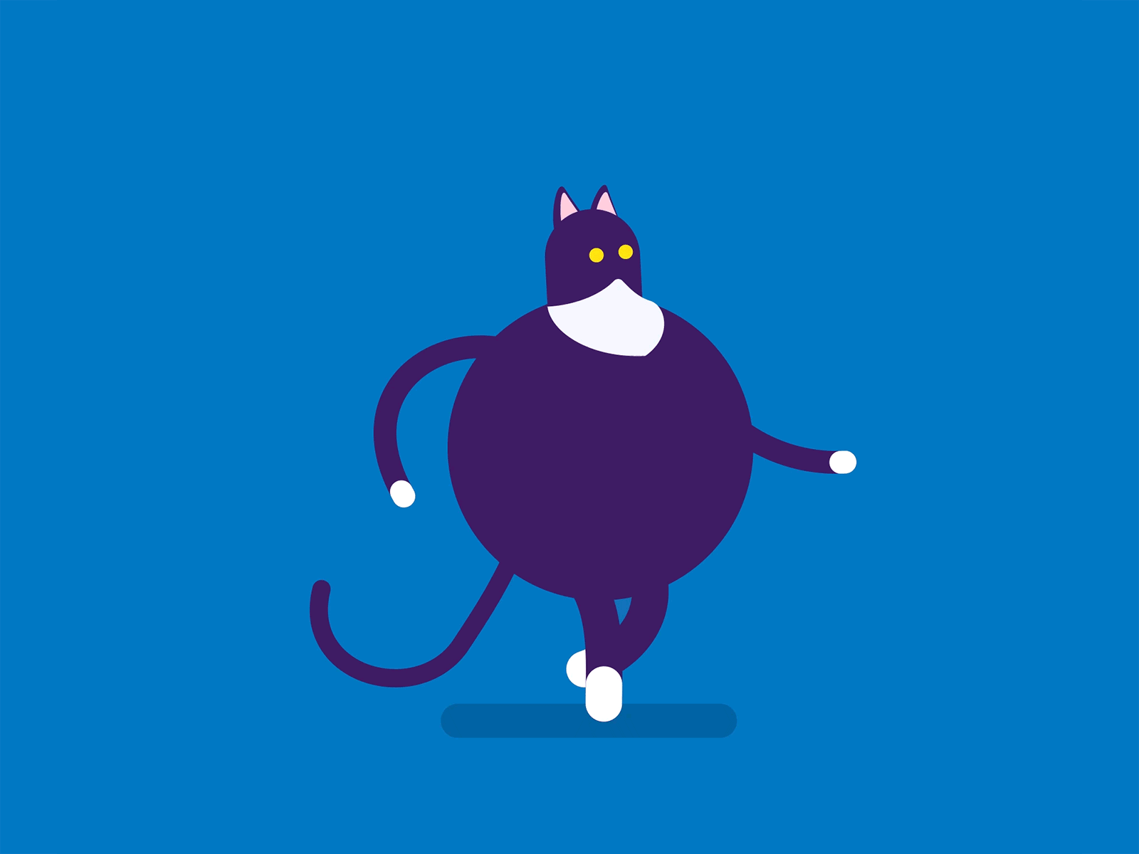 Browse thousands of Cat Circle images for design inspiration | Dribbble