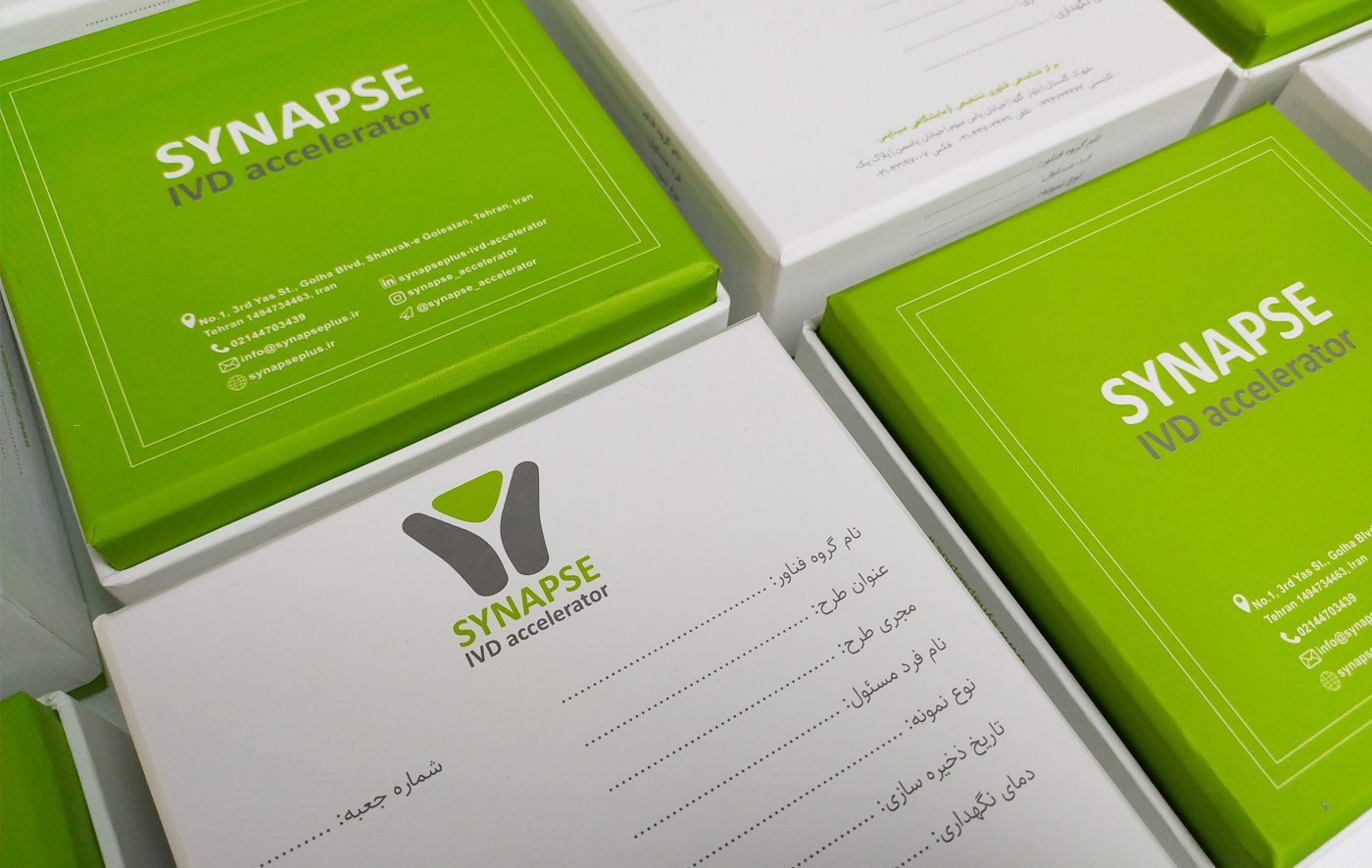 SYNAPSE Accelerator Logo Design by Ebrahim Ashouri on Dribbble