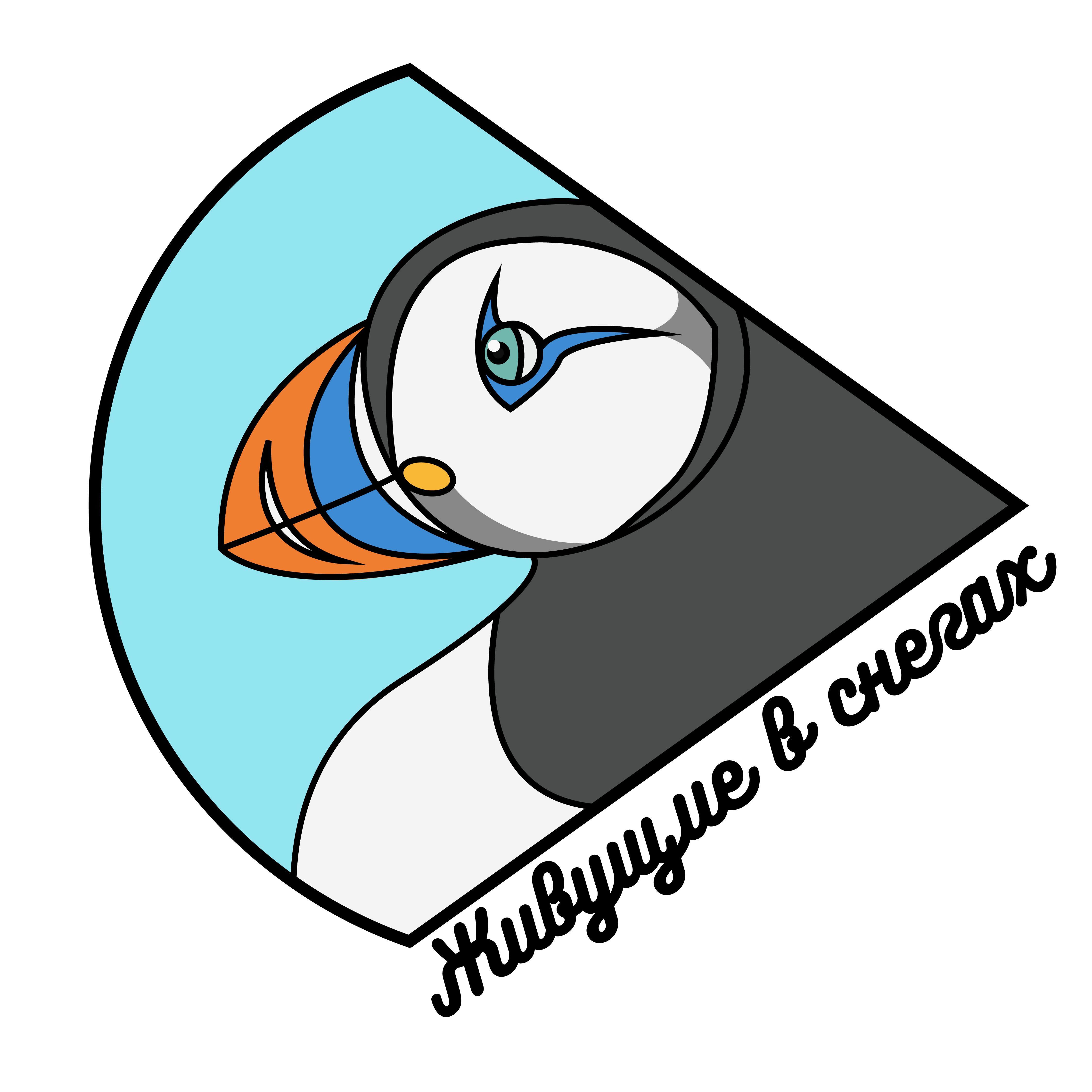 Puffin logo by Daria Lonkina on Dribbble