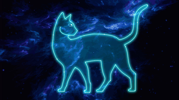 Star cat by Vladislav on Dribbble