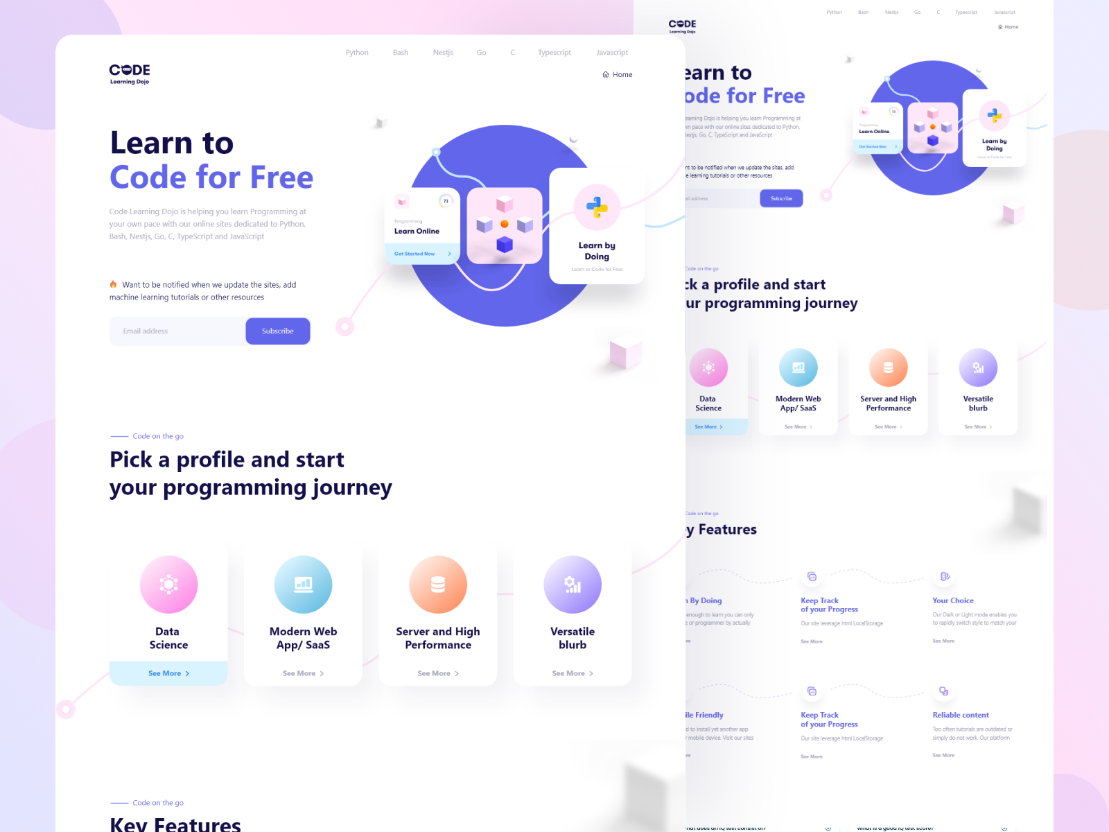 Online Programming Learning Platform Landing Page By Boomdevs Llc On