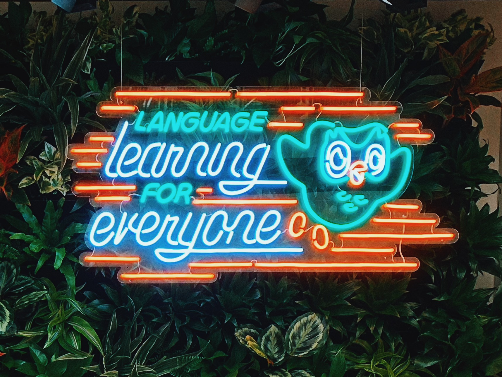 Duolingo Neon by Charlie Wagers on Dribbble