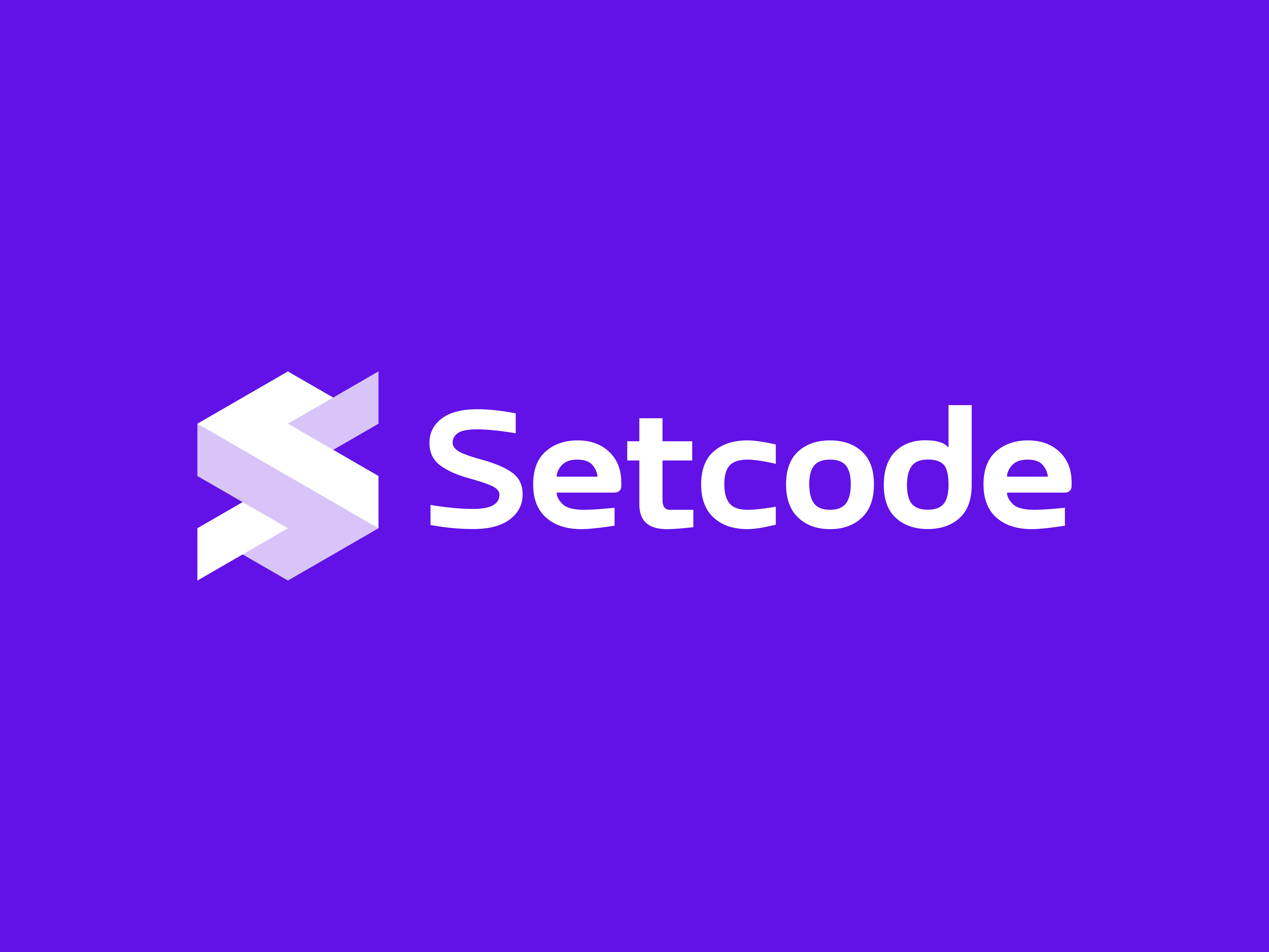 Setcode Logo Brand Guidelines by Sumon Yousuf on Dribbble