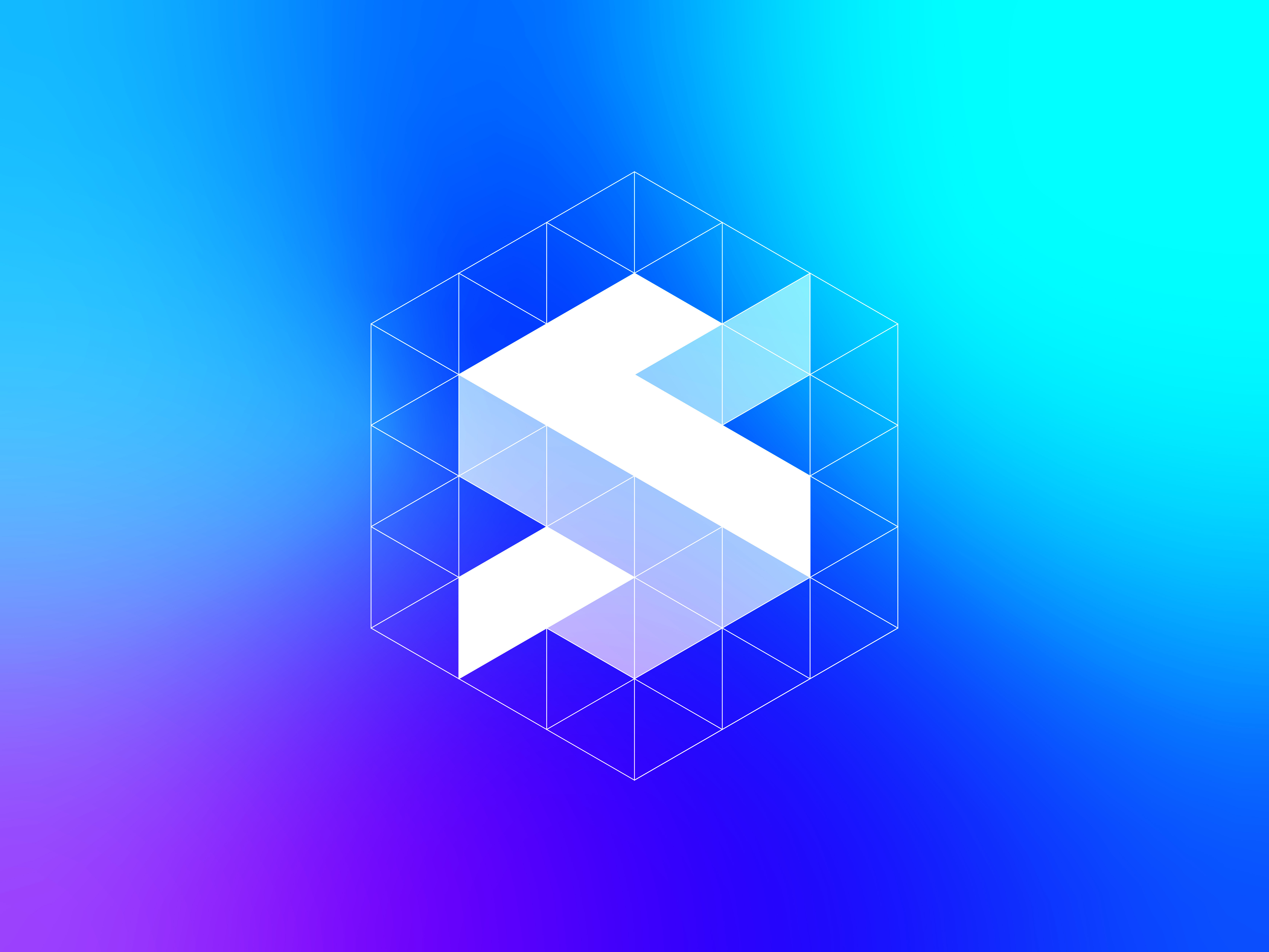 Setcode Logo Brand Guidelines by Sumon Yousuf on Dribbble