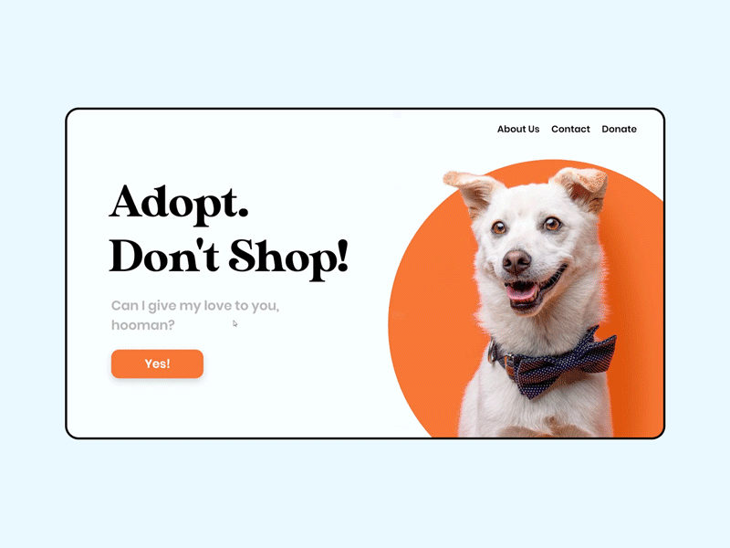 Animal Shelter Web Design by Nathaniel Jovian on Dribbble