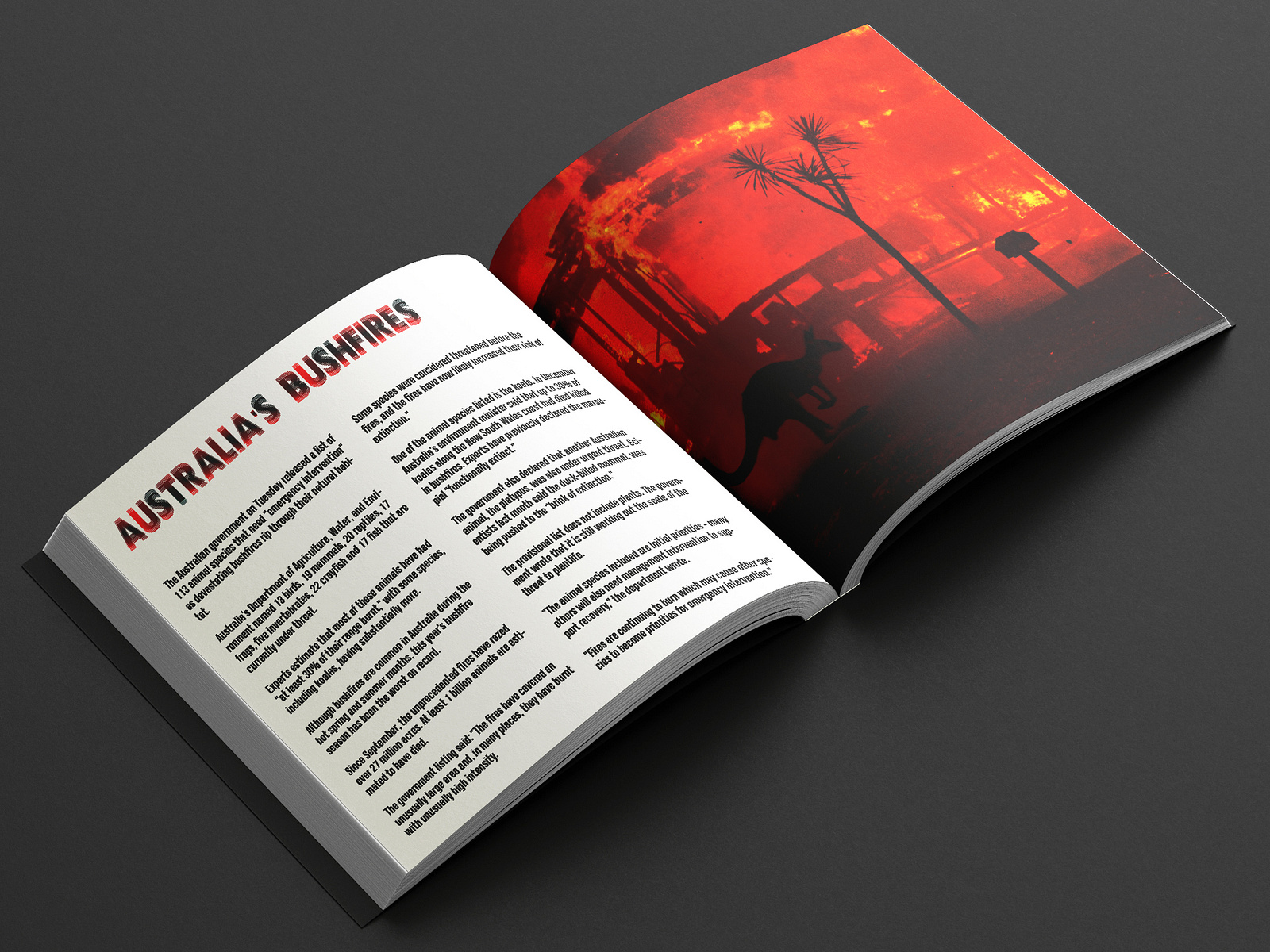 2020 AUSTRALIA'S BUSHFIRES by Aytan on Dribbble