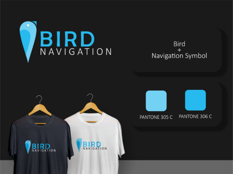 Bird Navigation by Adi dimisa on Dribbble