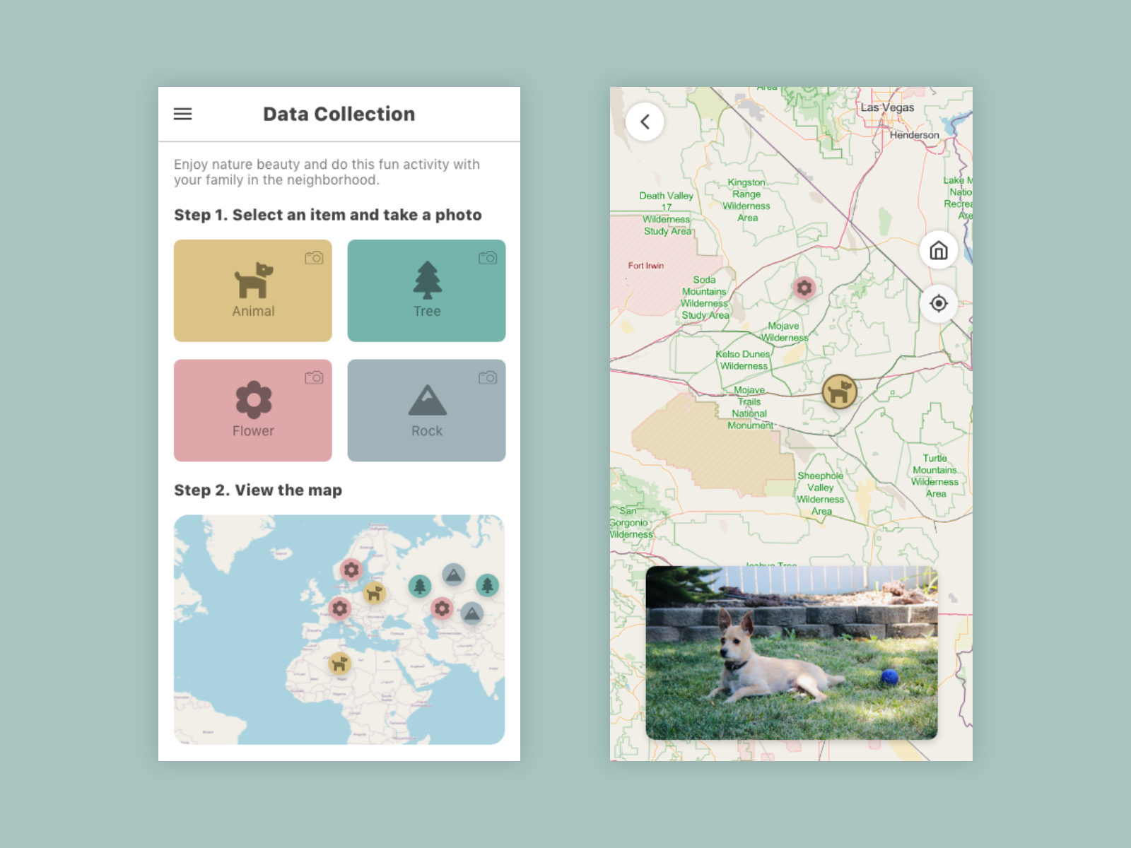 Data Collection app by Tina Jin on Dribbble