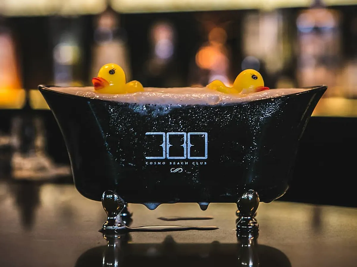 300 Cosmo Beach Club designs, themes, templates and downloadable ...