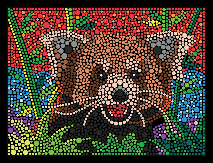 Points Study_Red Panda by Claravania Tanesia on Dribbble