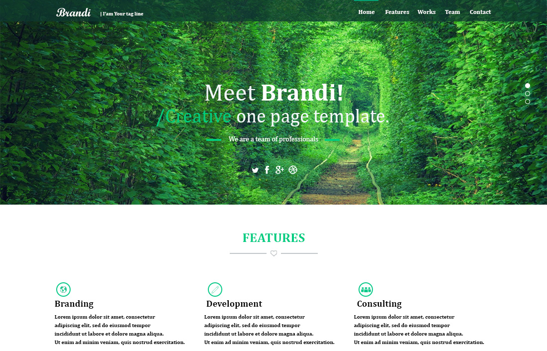Meet Brandi! Website PSD Template by Hasnain Rafiq on Dribbble