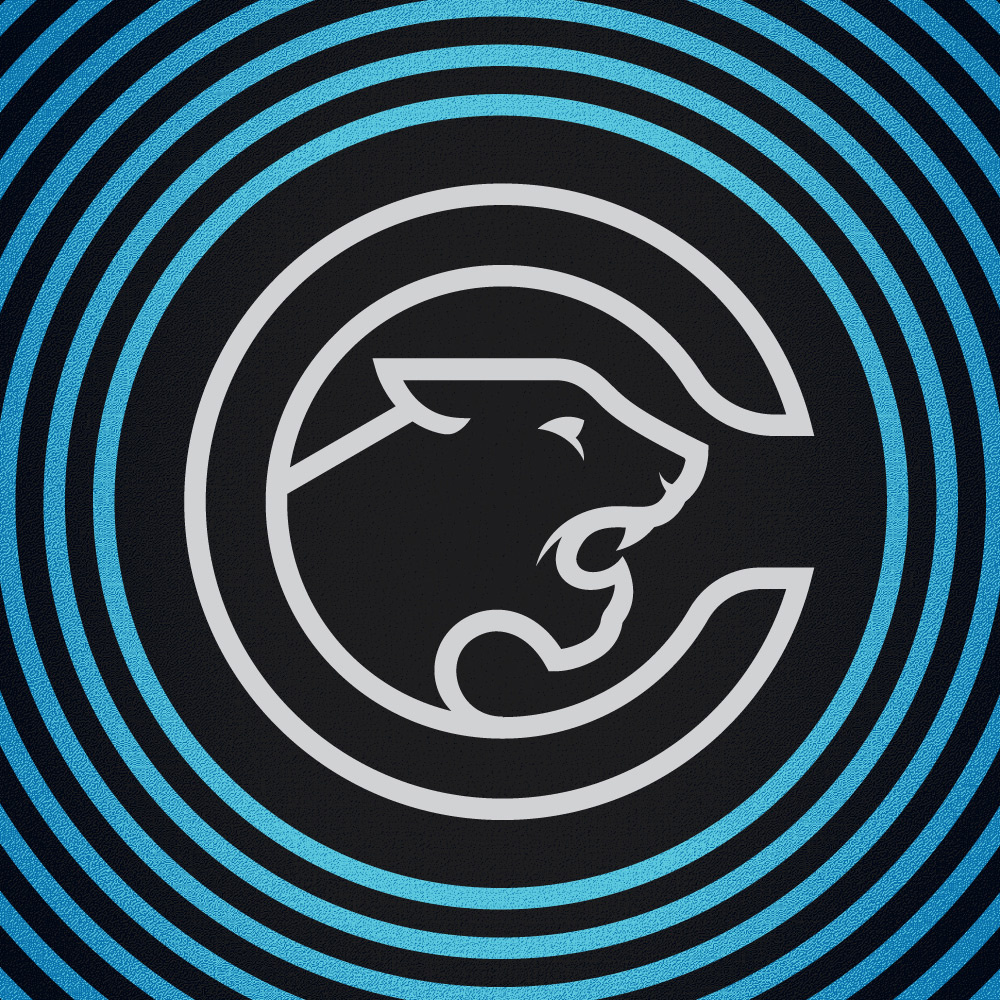 Panthers Logo Concept by Billy Baumann for Delicious Design League on ...