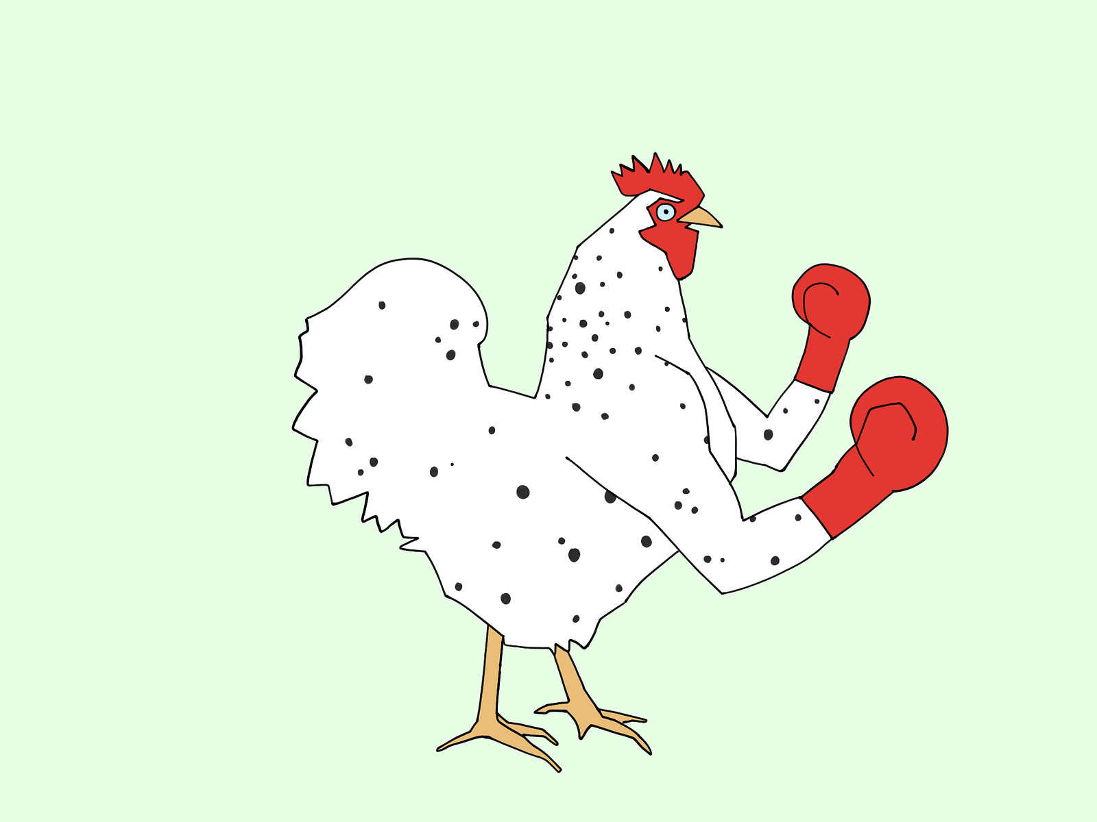 Chicken boxing by Ján Levák on Dribbble