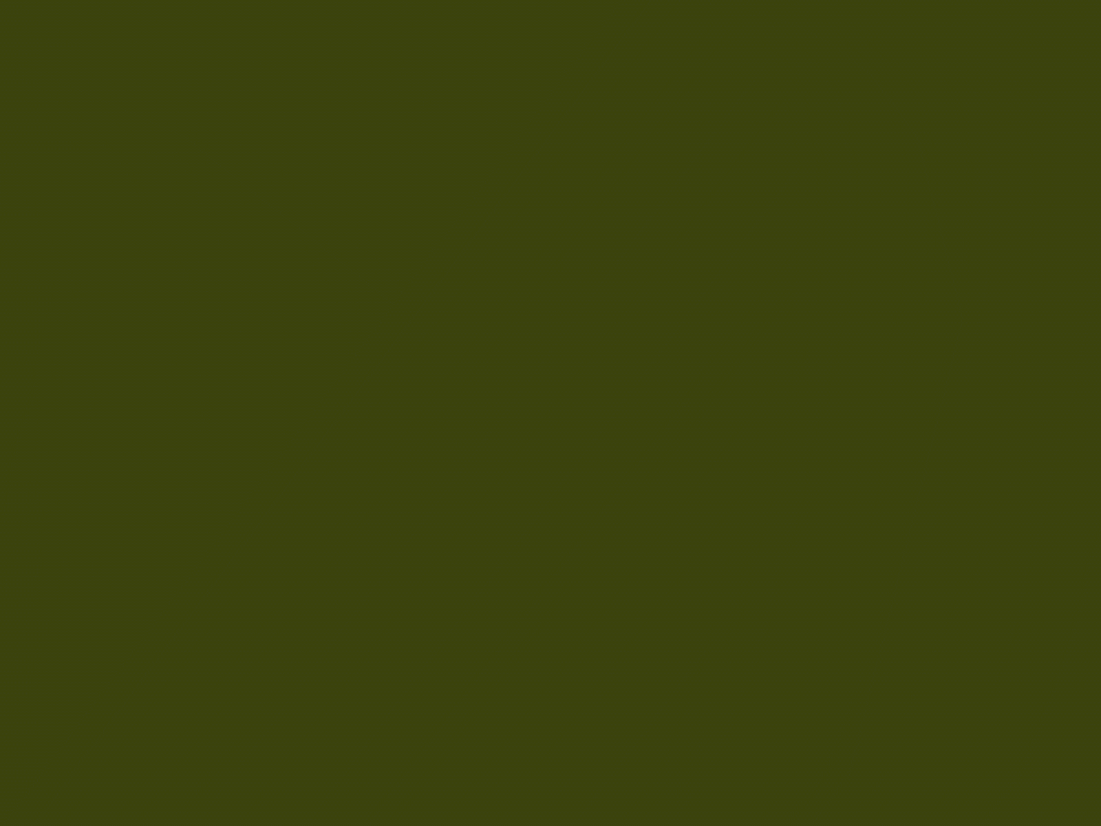 Activist *Free Arabic Font* Variable font by Tarek Raed on Dribbble