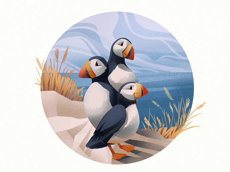 tubik.arts | Dribbble