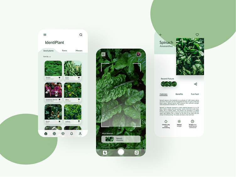 IdentiPlant App - Identify Your Plant By Scan by Lissa Risqya on Dribbble