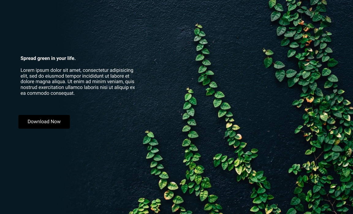 Soft Crop by Jake on Dribbble