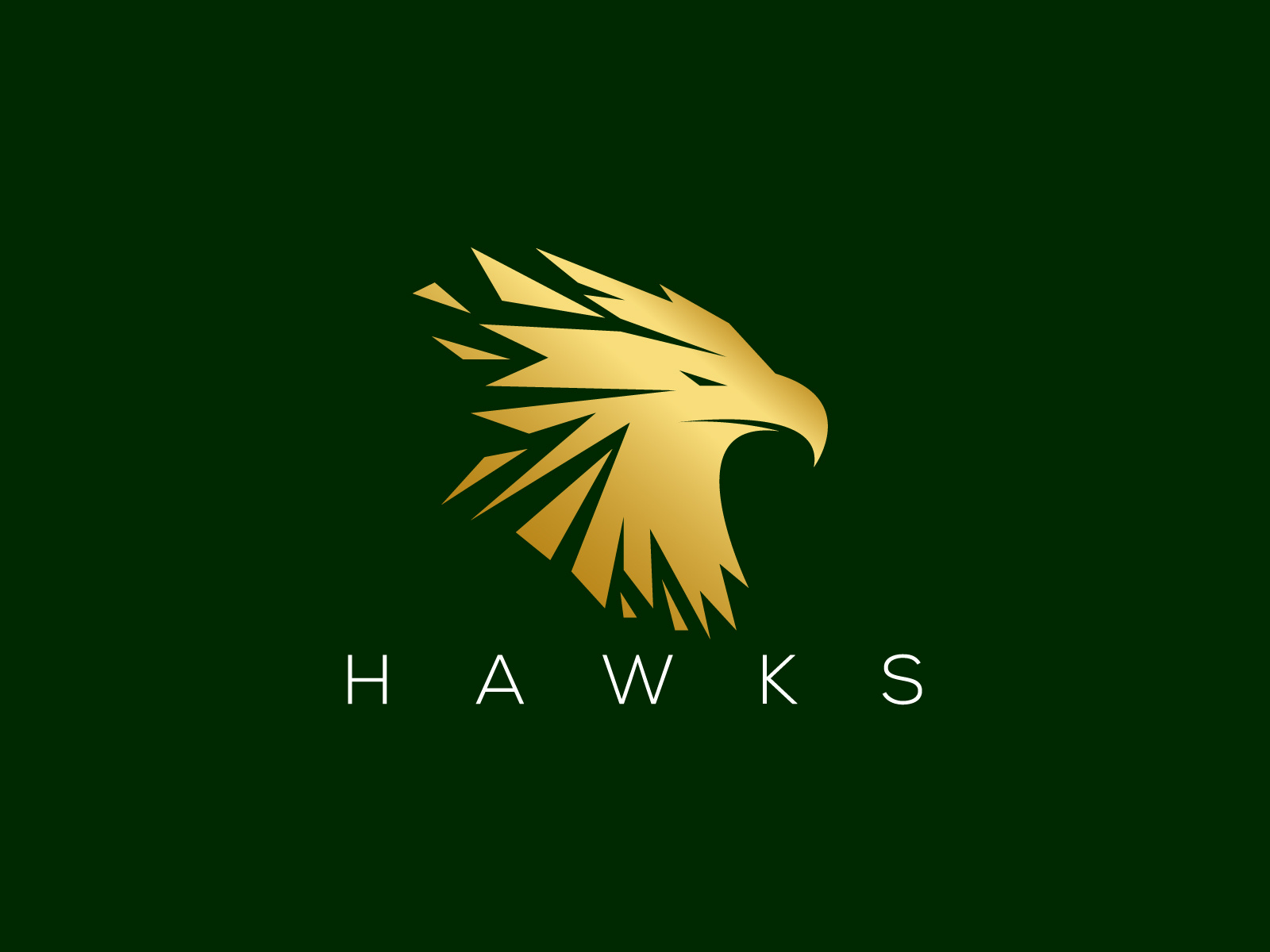 Hawk Logo by Ben Naveed 🇺🇸 on Dribbble