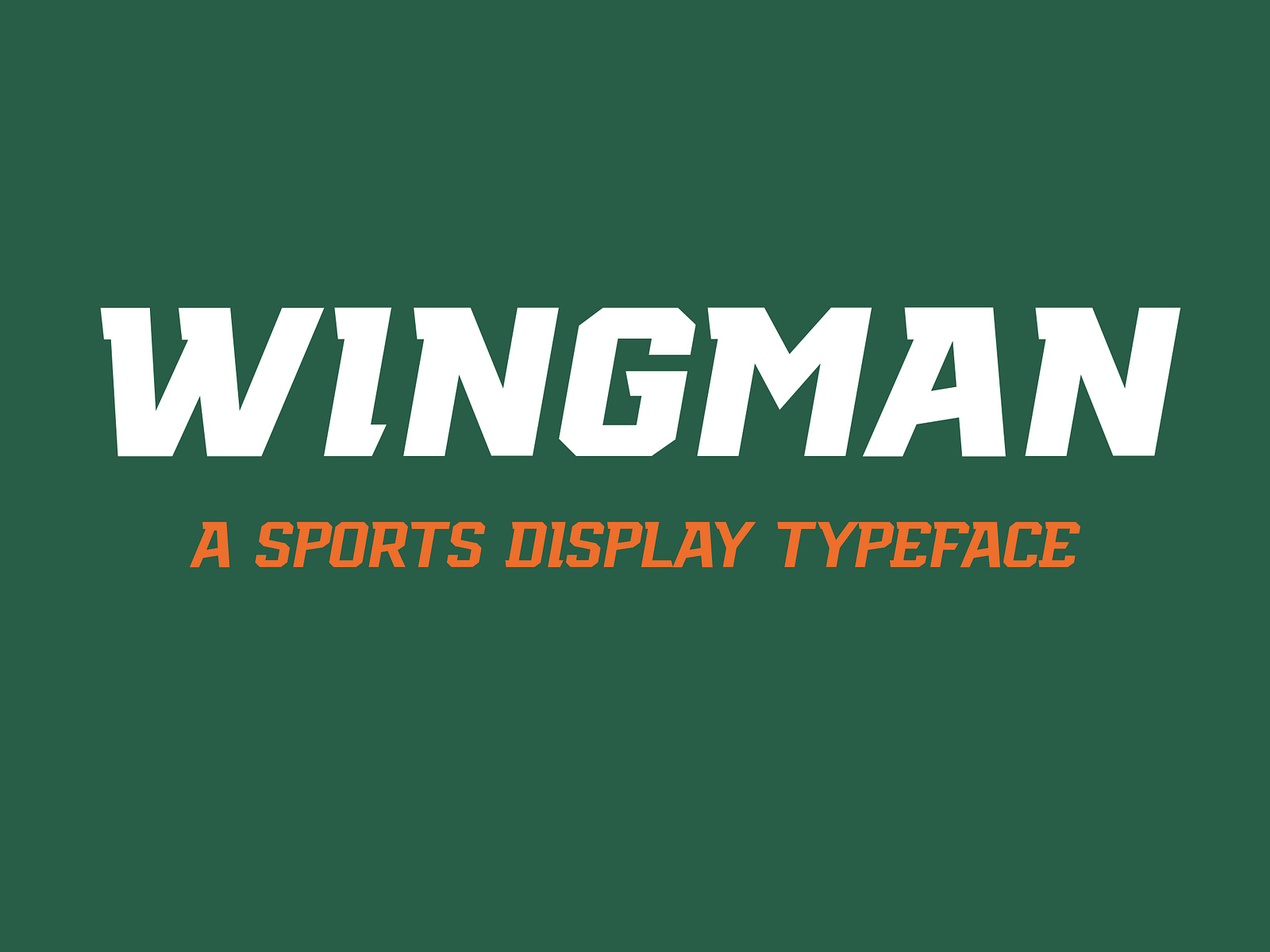 Wingman Typeface by Lia Tanasa on Dribbble
