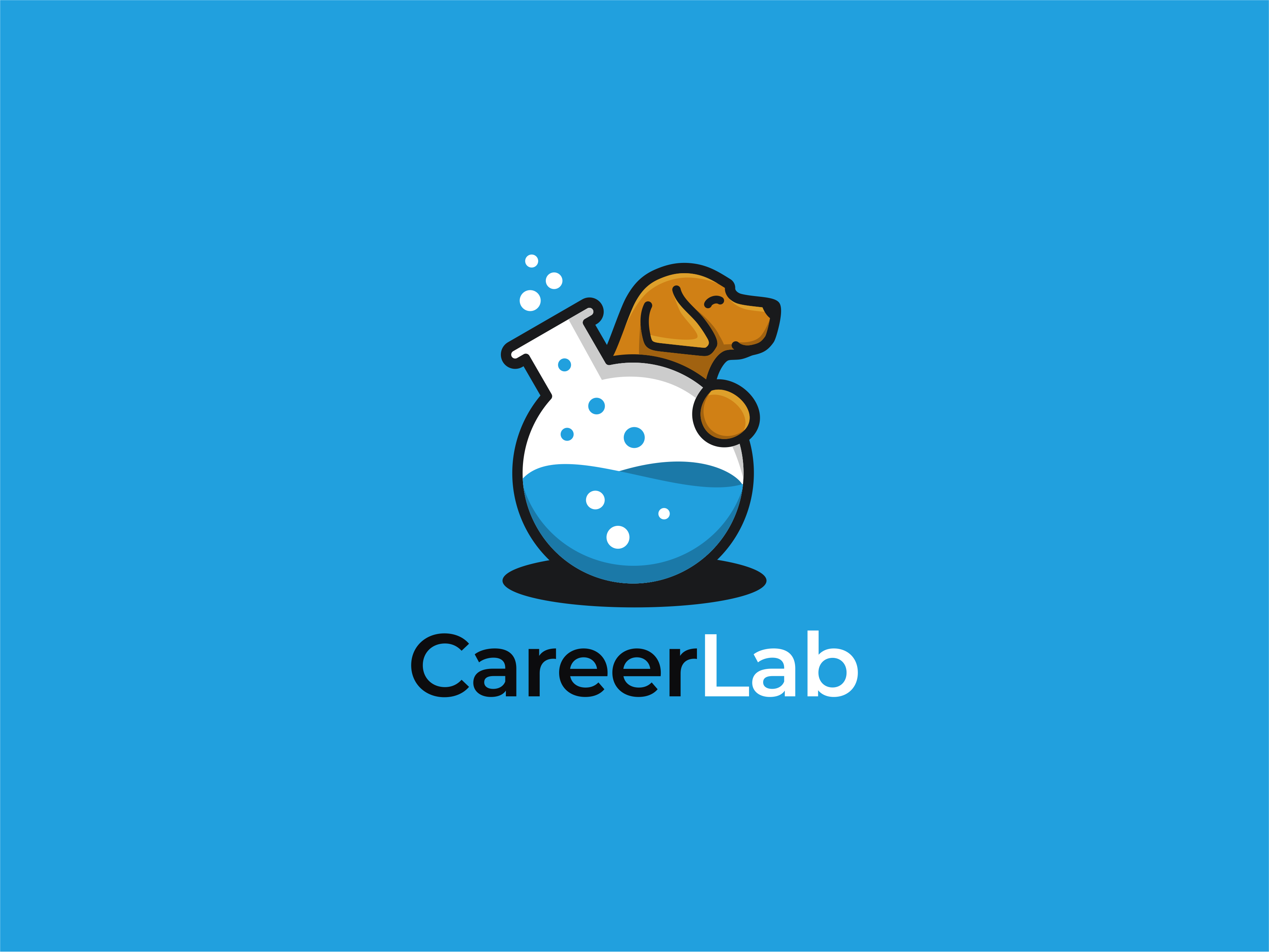 CAREER LAB by O'Laa on Dribbble