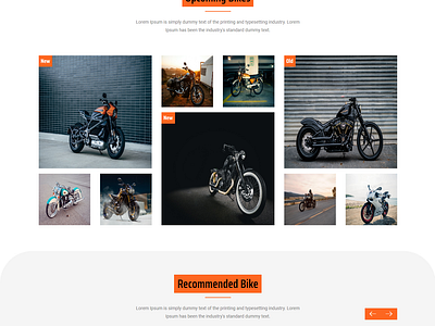 Bike Rental Booking Website Template by Codezion on Dribbble