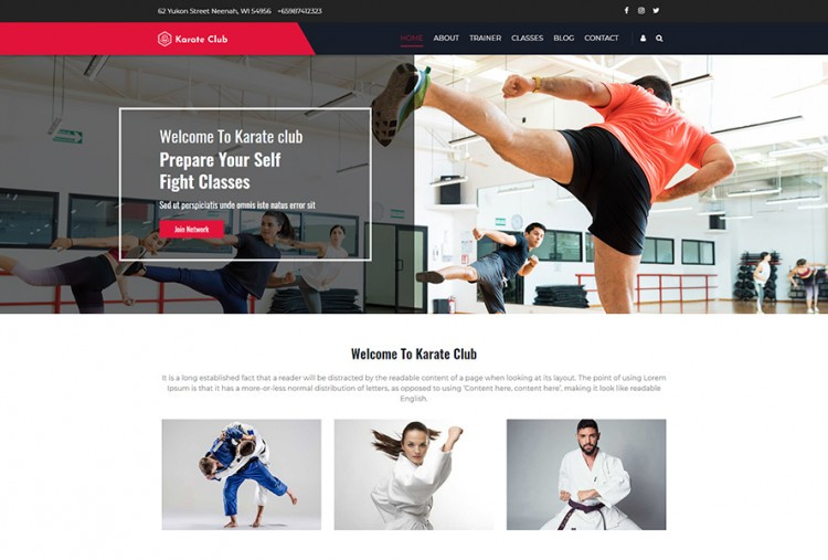 Karate Club WordPress Theme by Template Bundle on Dribbble
