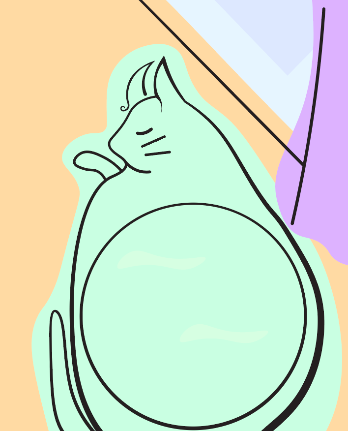 Fat Cat Portrait by Klaudia on Dribbble