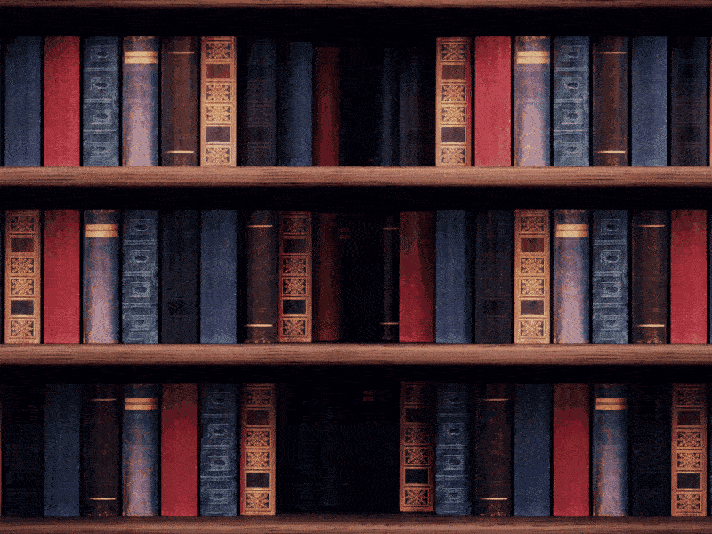 Infinite bookshelves 3d loop by Paulius Tarvydas on Dribbble