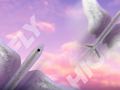 fly high by Syed Hammad Ali on Dribbble