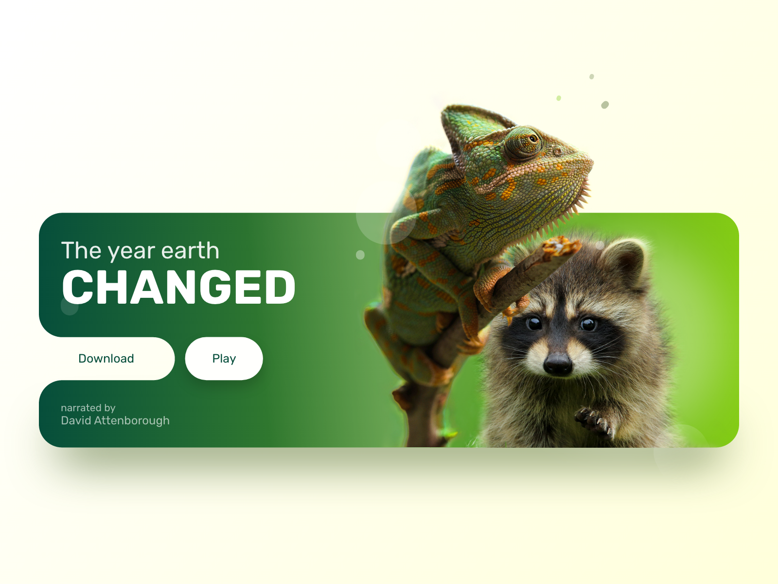 Card Design by Martin Vatev on Dribbble