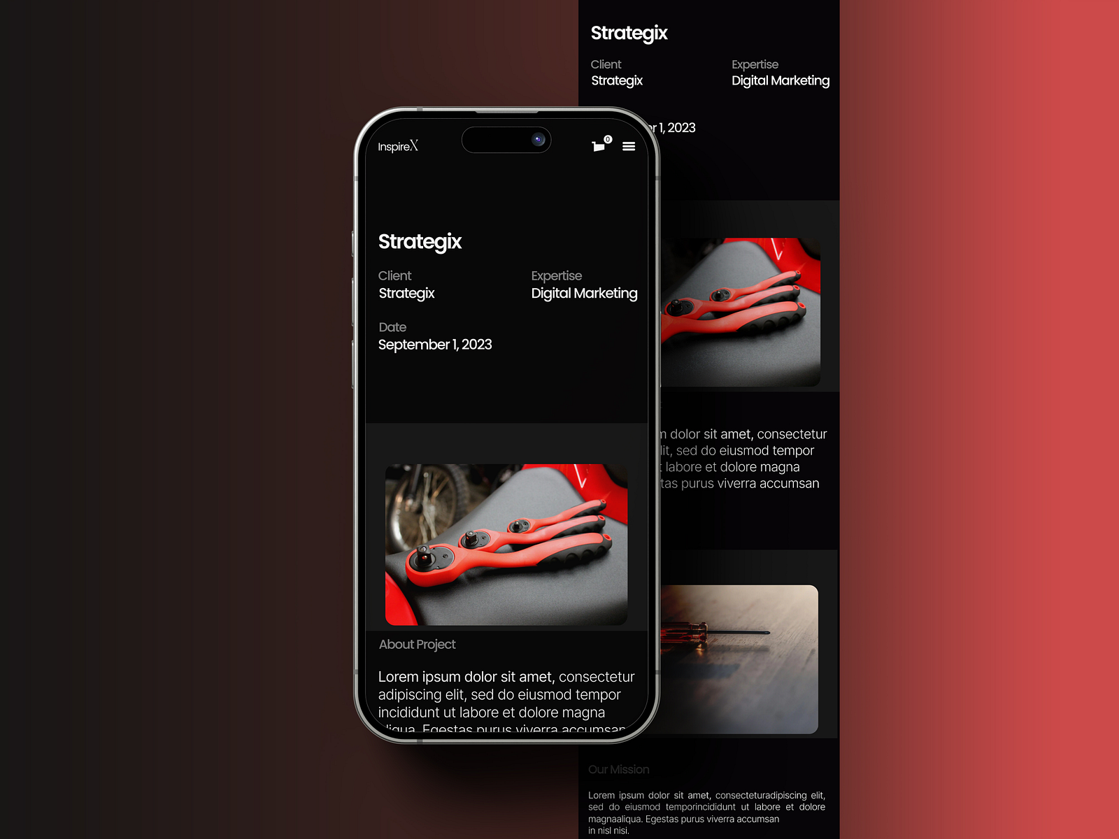 Inspire X - Responsive Work Details Page Design by Zafre Media on Dribbble