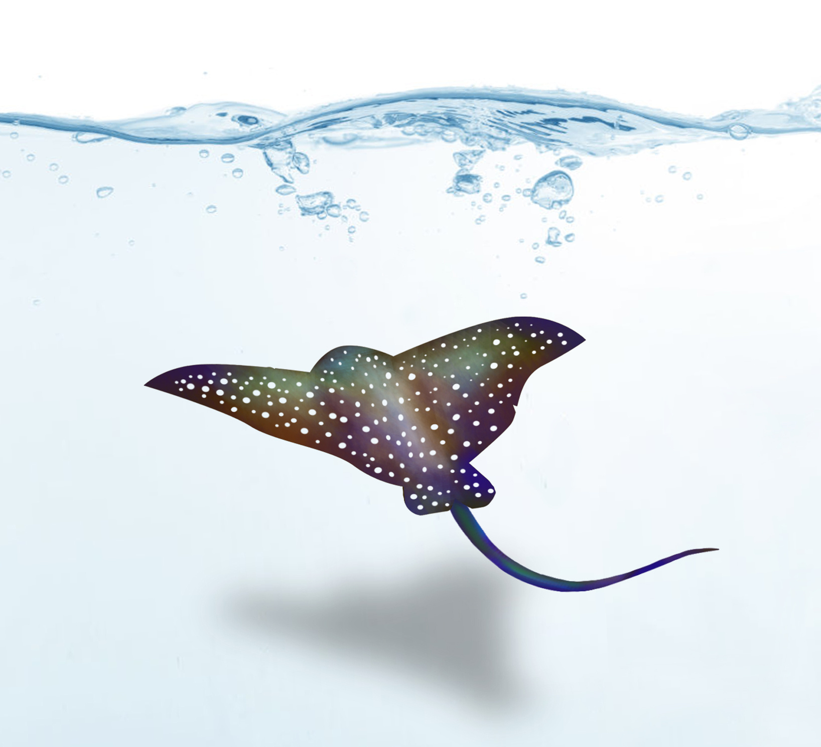 Stingray by Tatiana Nikitina on Dribbble