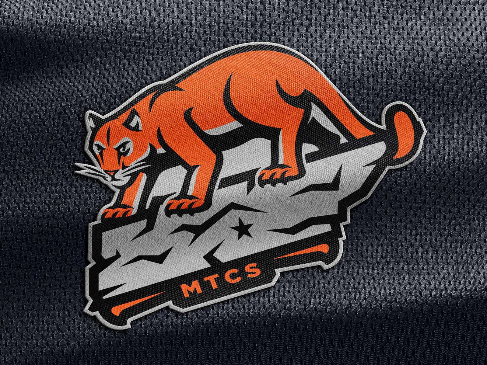 MTCS Cougars | Rebranding – 03 by Dan | Design Shark® on Dribbble
