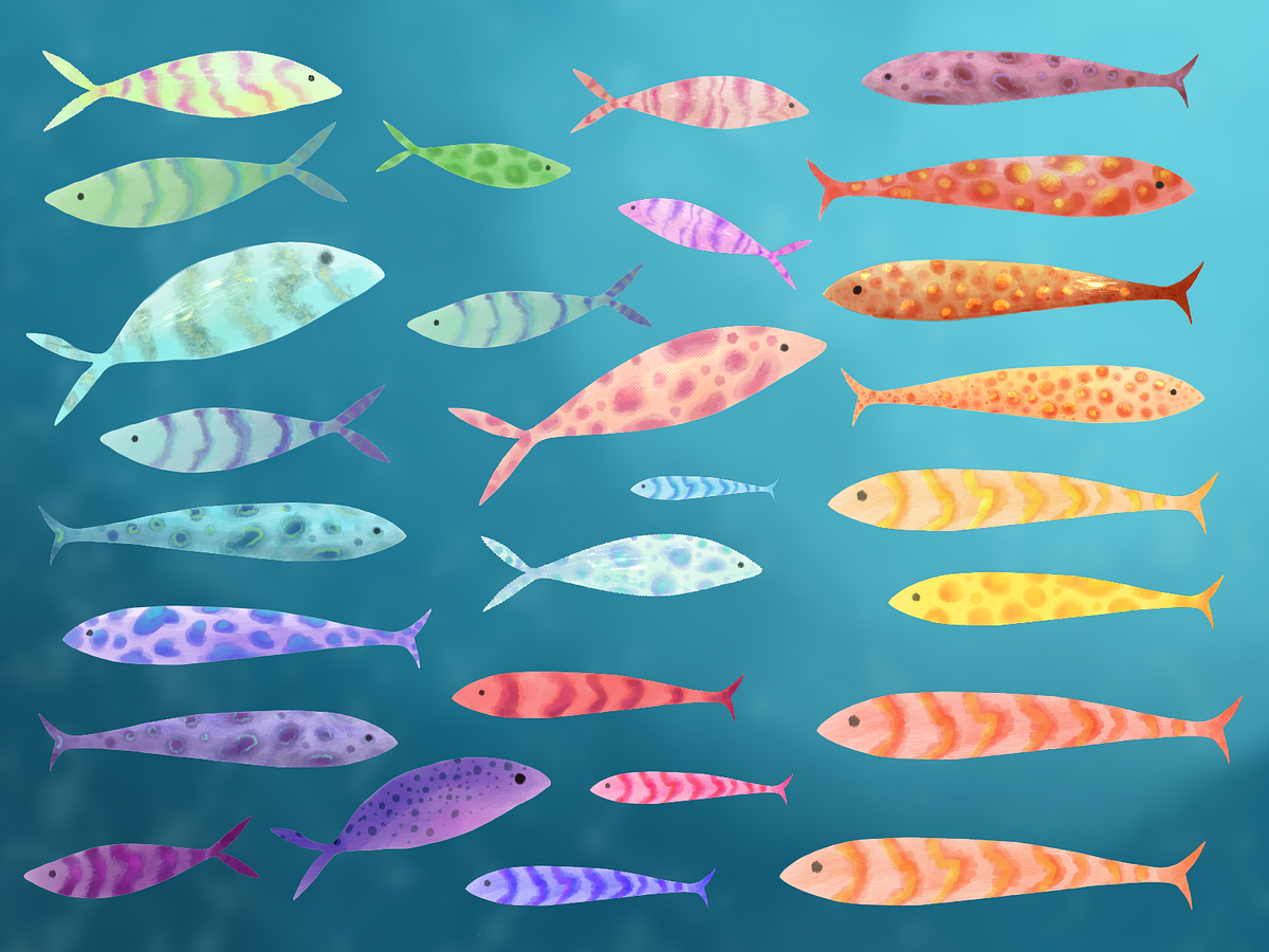 fish illustrations for 2D animation by Carly Wanner-Hyde on Dribbble