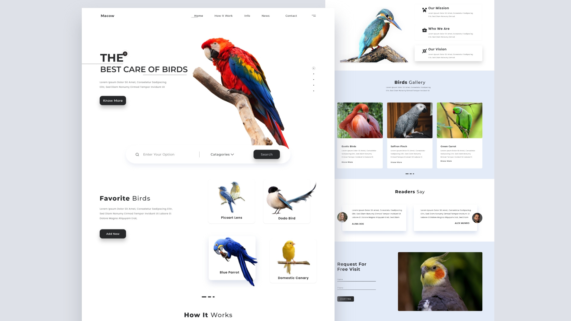birds care landing page by Ayesha Siddika on Dribbble