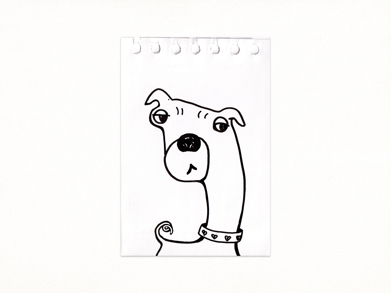 Suspecting-dog by Kateryna Naumova on Dribbble