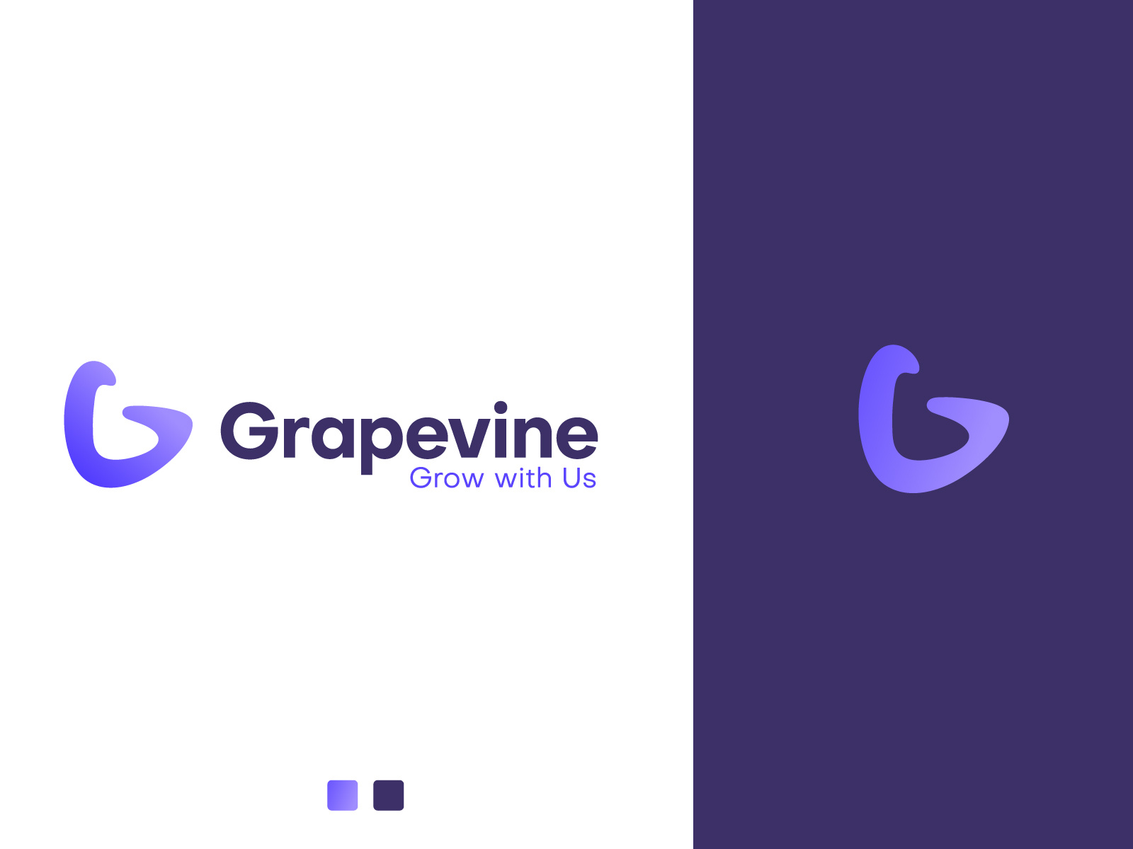 Grapevine Brand Identity Design by Jahid Hasan | Logo, Brand & UI/UX ...