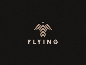 Flying logo design by mSpartan on Dribbble