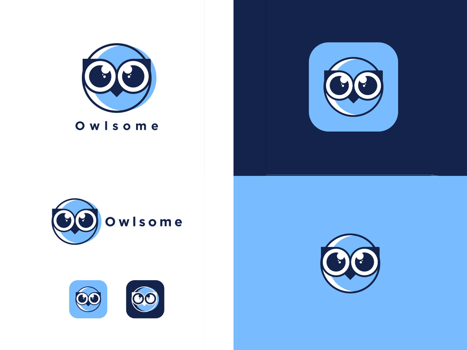 Owlsome by Designer Apu on Dribbble
