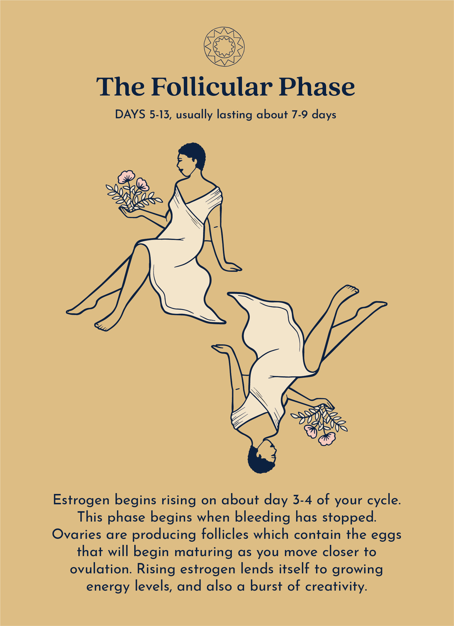 MOONS: The Menstrual Cycle Guide by Jane Beaird on Dribbble