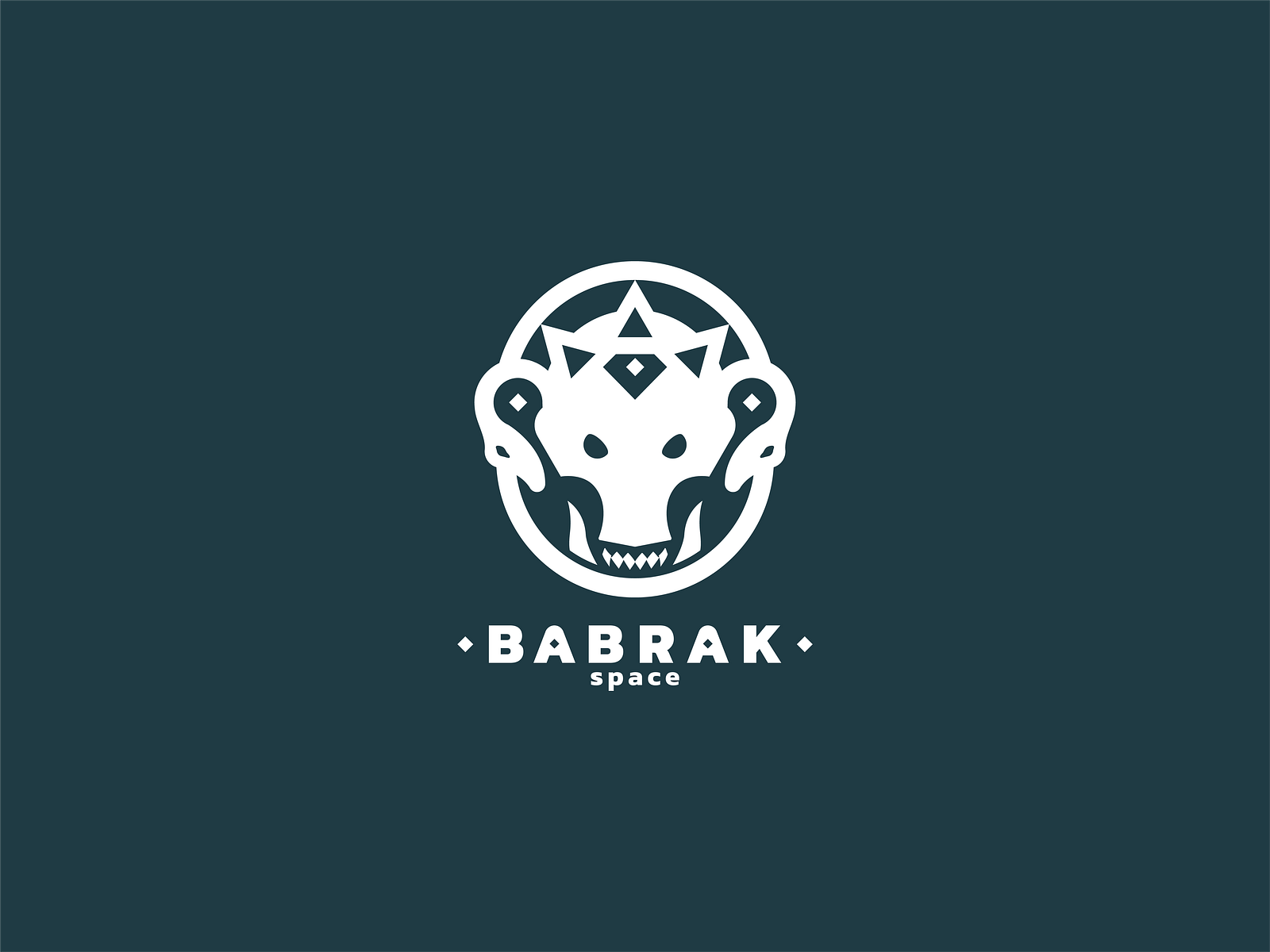 Babrak Space by Moosa on Dribbble