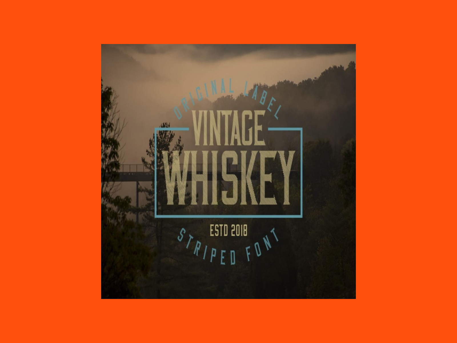 Vintage Whiskey Typeface by MasterBundles on Dribbble