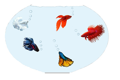 Beta Fish designs, themes, templates and downloadable graphic elements ...