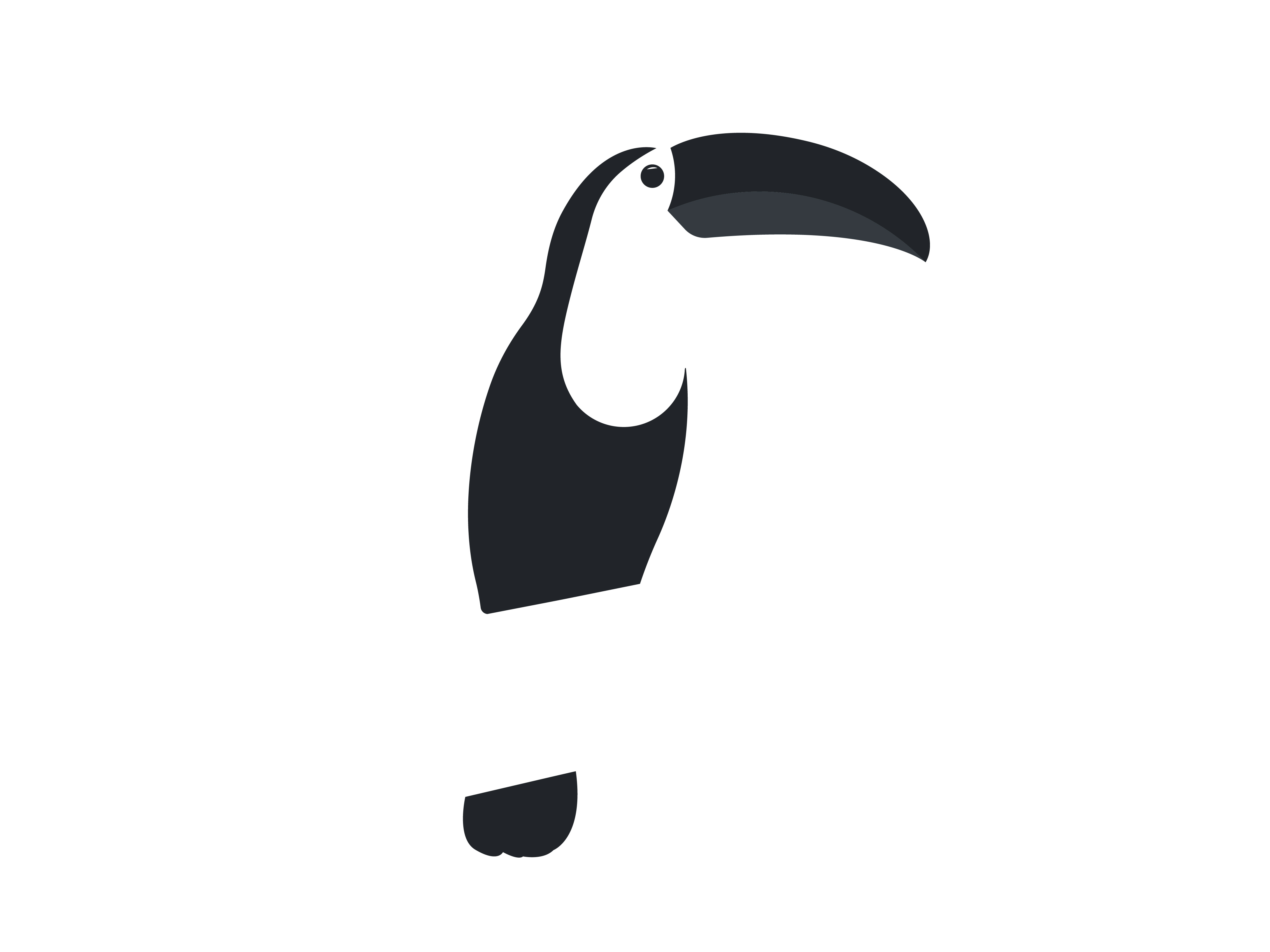 White space Toucan by Goga Margiani on Dribbble