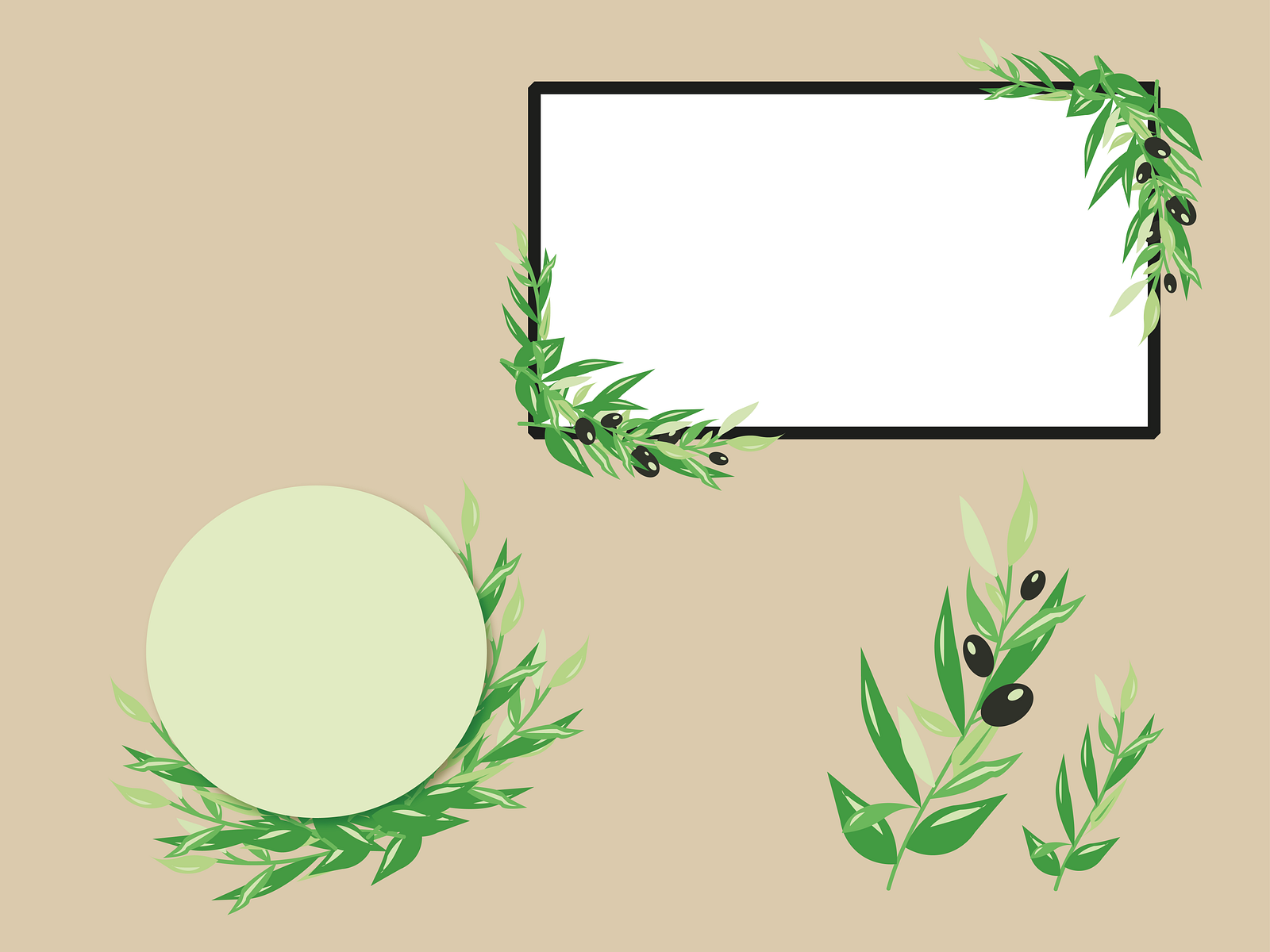 Olive Form by Yuliia Kudliuk on Dribbble