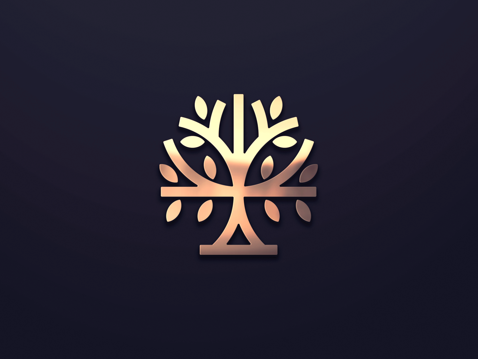Tree Logo Inspiration by enter_design for QClay on Dribbble