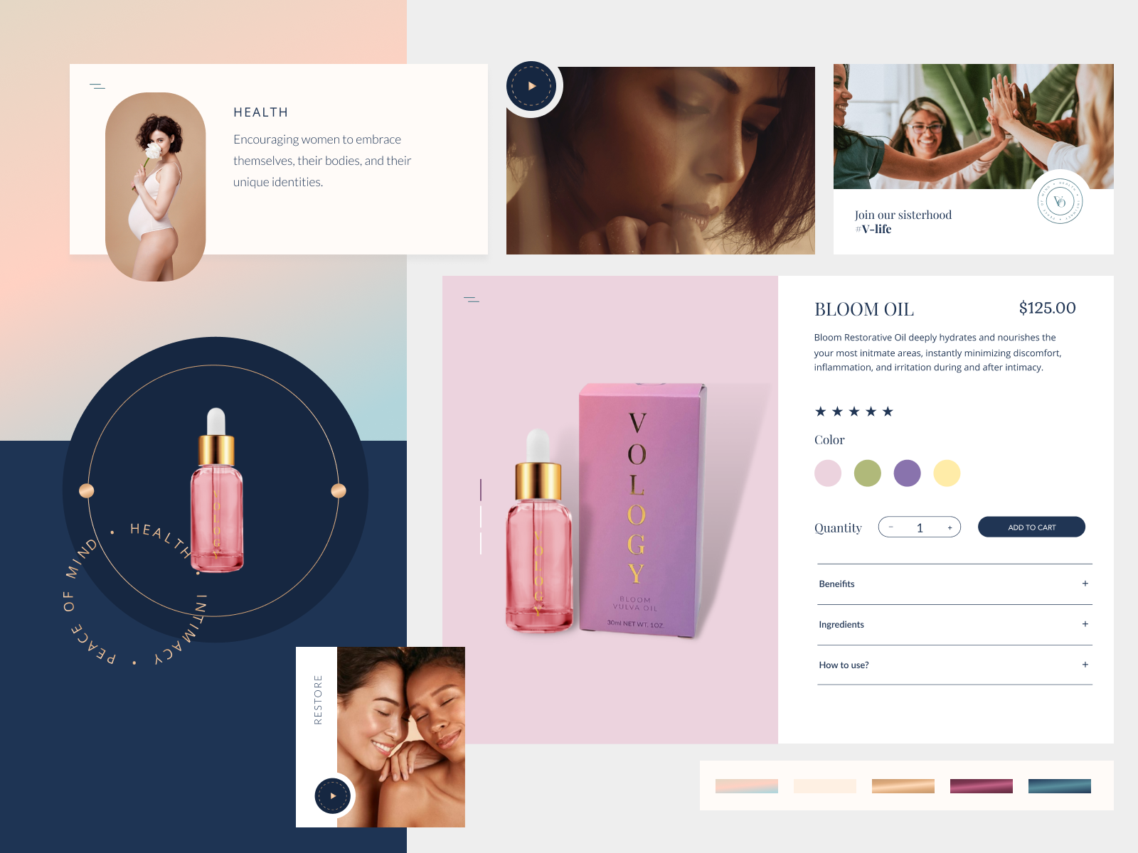 Wordpress UI Components by Aviena Sky on Dribbble