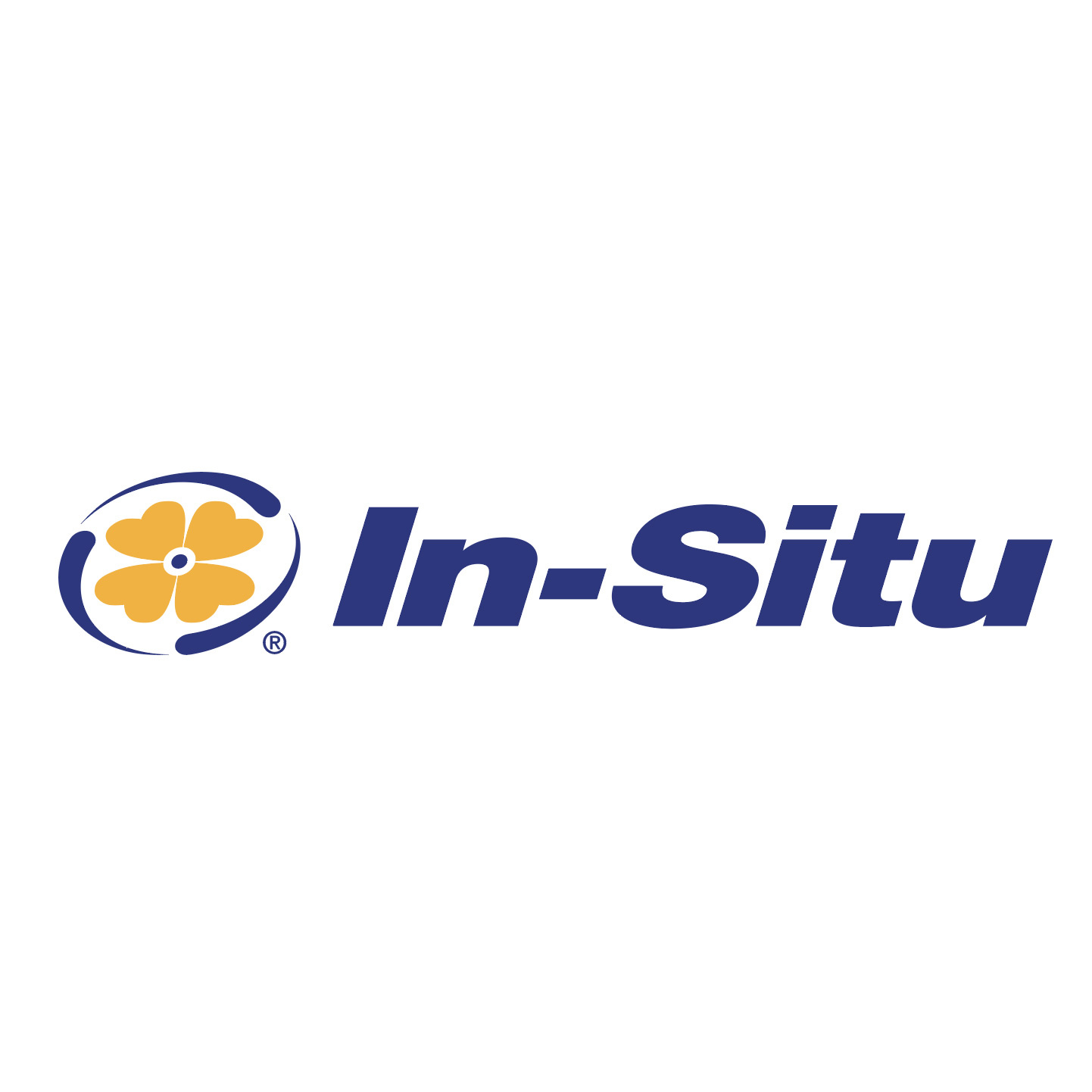 In-Situ Logo by Back Door Marketing on Dribbble