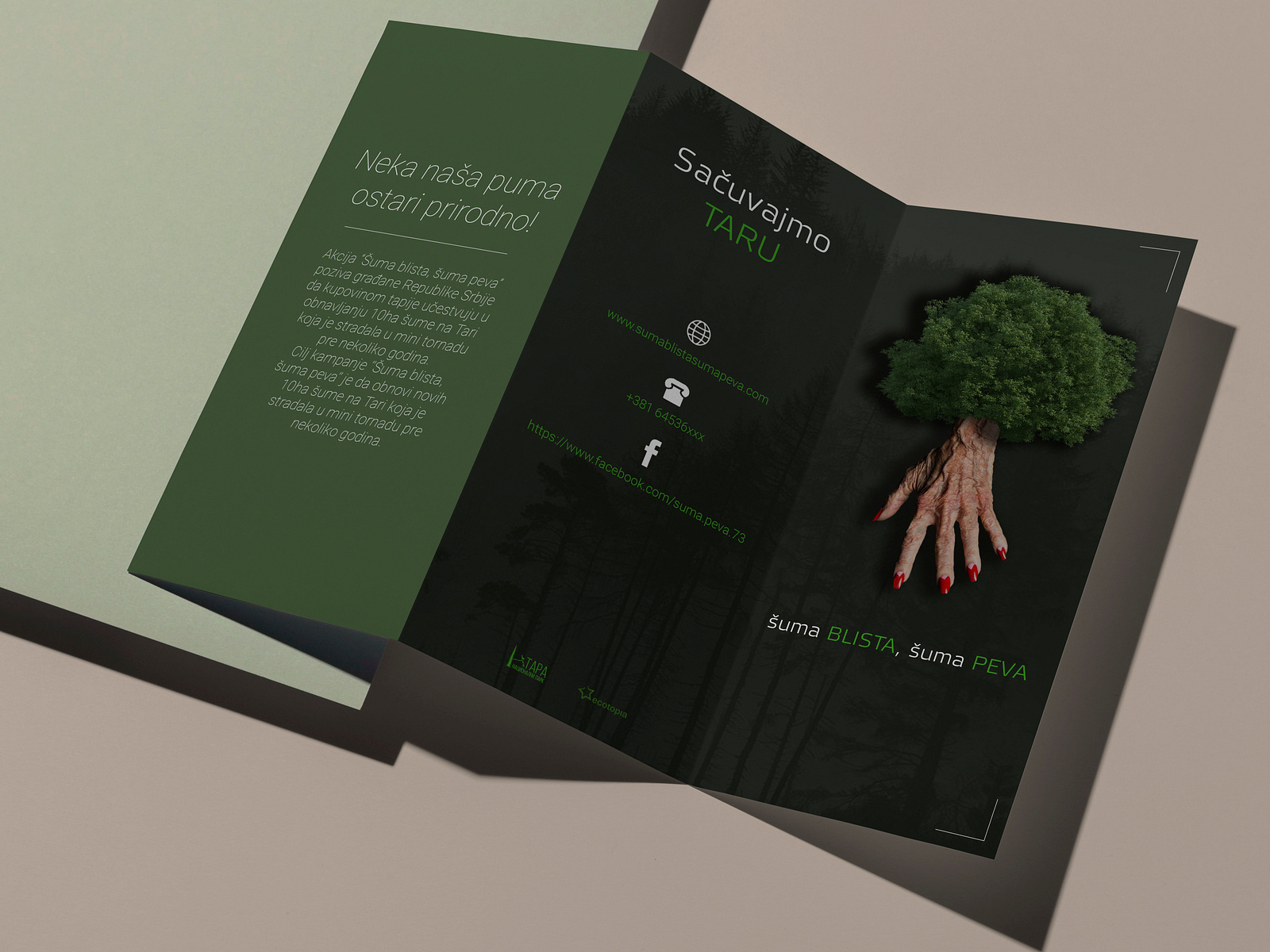 Leaflet - front side by Elhina Brenoli on Dribbble